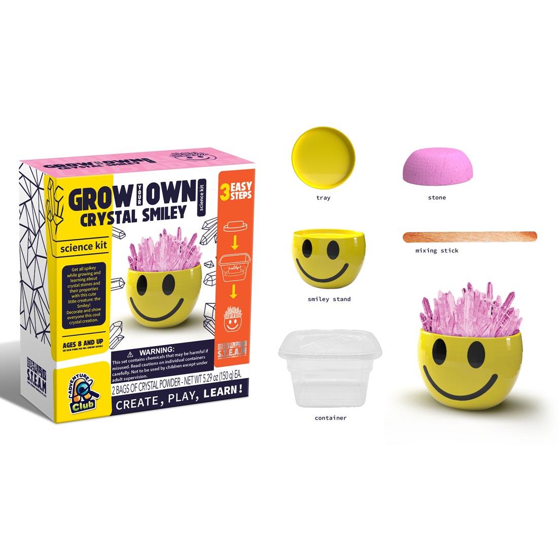 Grow Your Own Crystal Smiley Science Kit