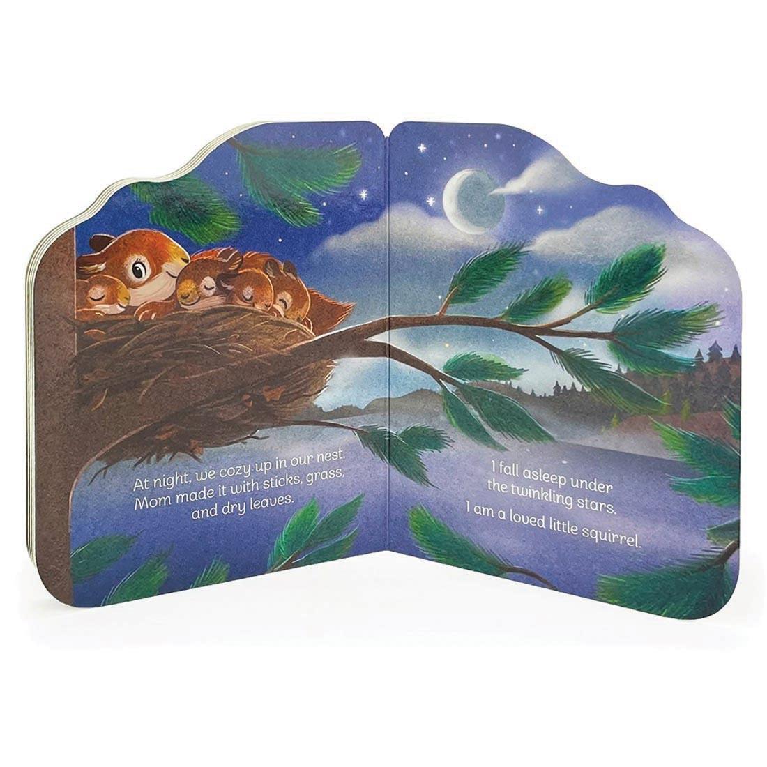 A Little Squirrel Shaped Board Book