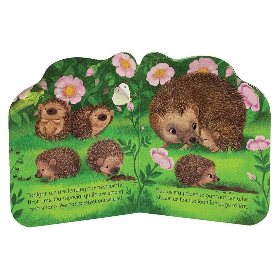 A Little Hedgehog Shaped Board Book