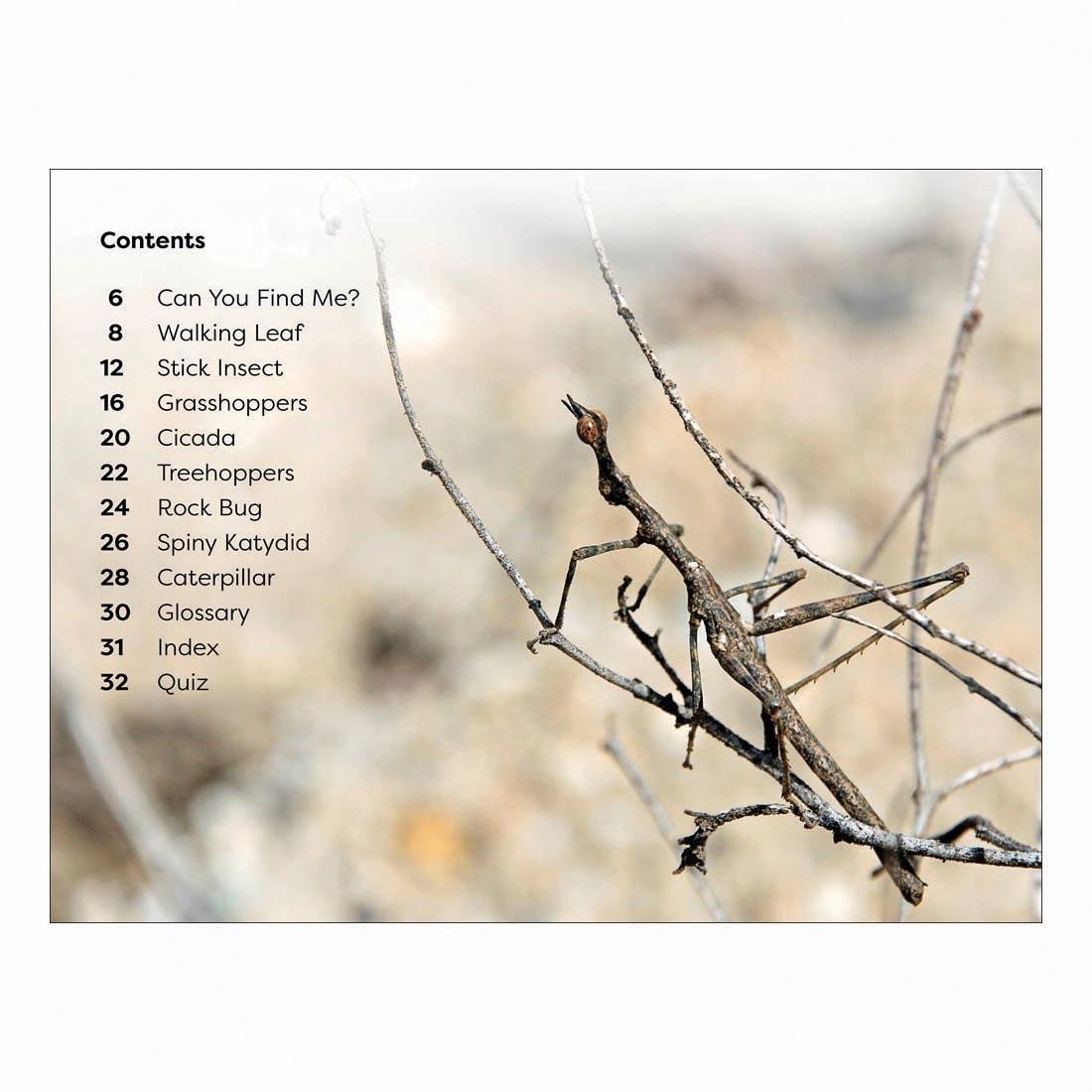 Bugs Hide And Seek DK Super Readers Level 1 Book