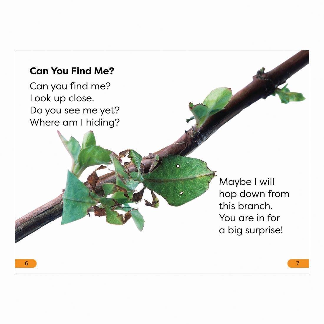 Bugs Hide And Seek DK Super Readers Level 1 Book