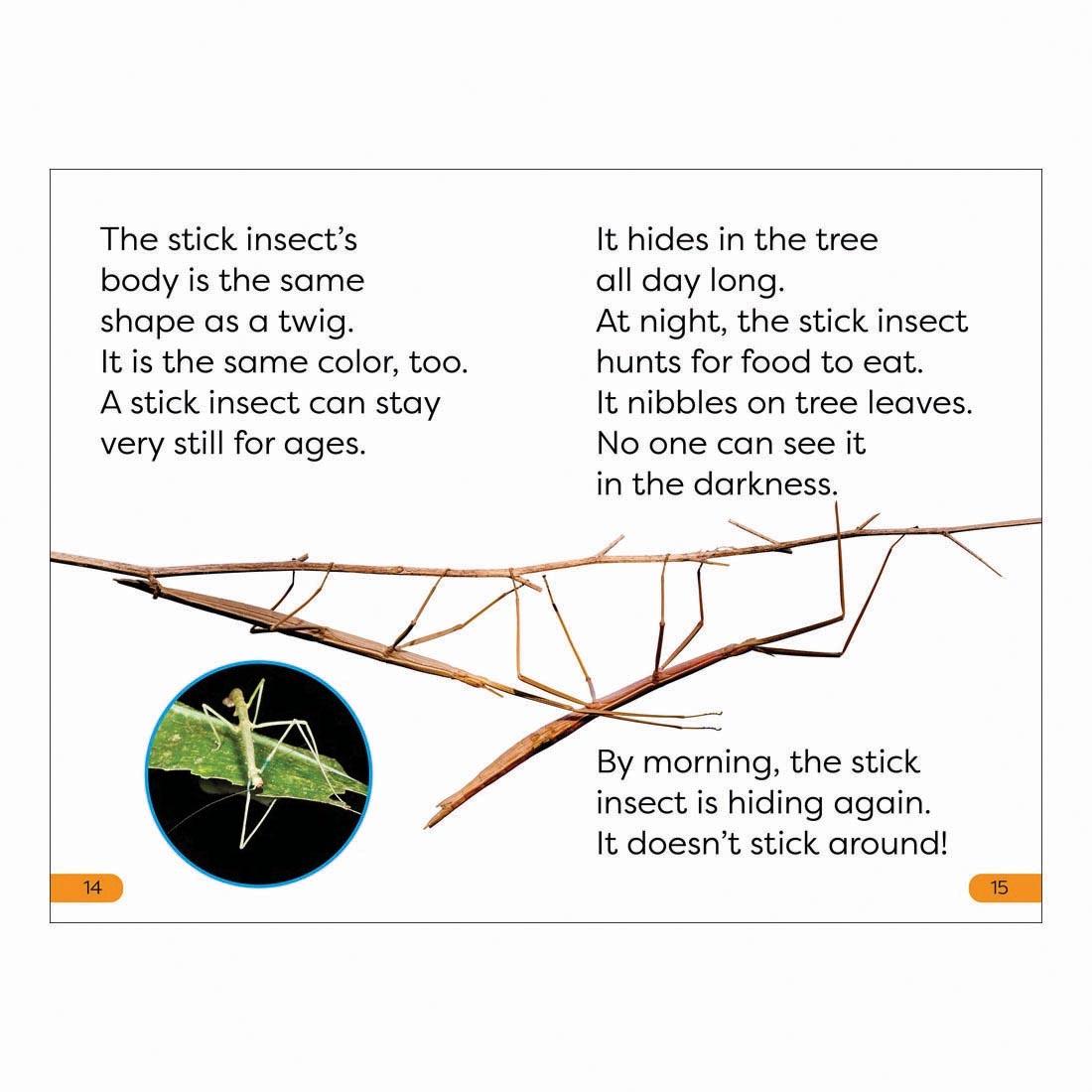 Bugs Hide And Seek DK Super Readers Level 1 Book