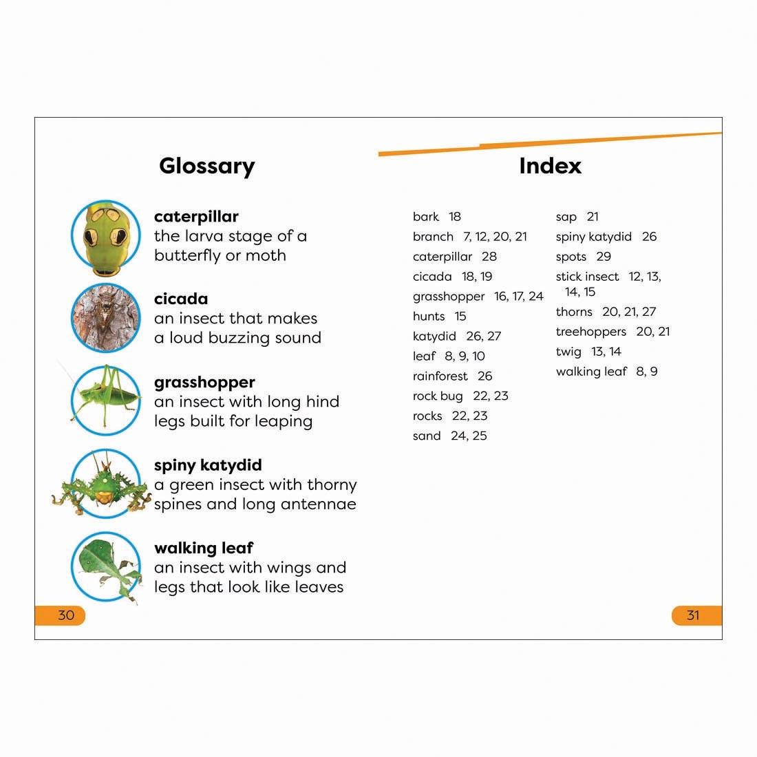 Bugs Hide And Seek DK Super Readers Level 1 Book