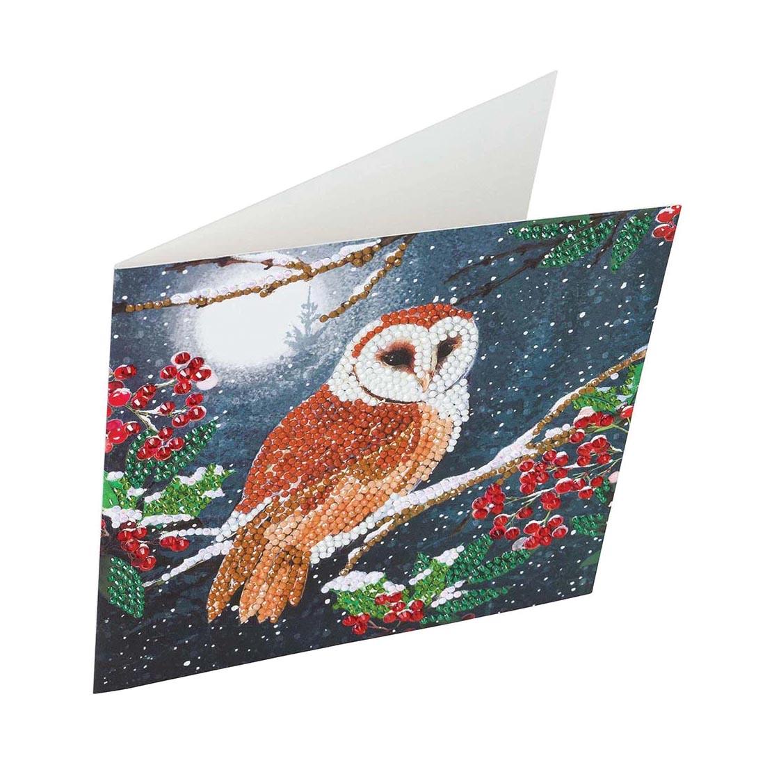 Crystal Art Barn Owl Card Kit by Craft Buddy