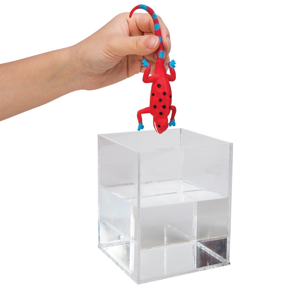 Color Change Revealeon Chameleon Toy