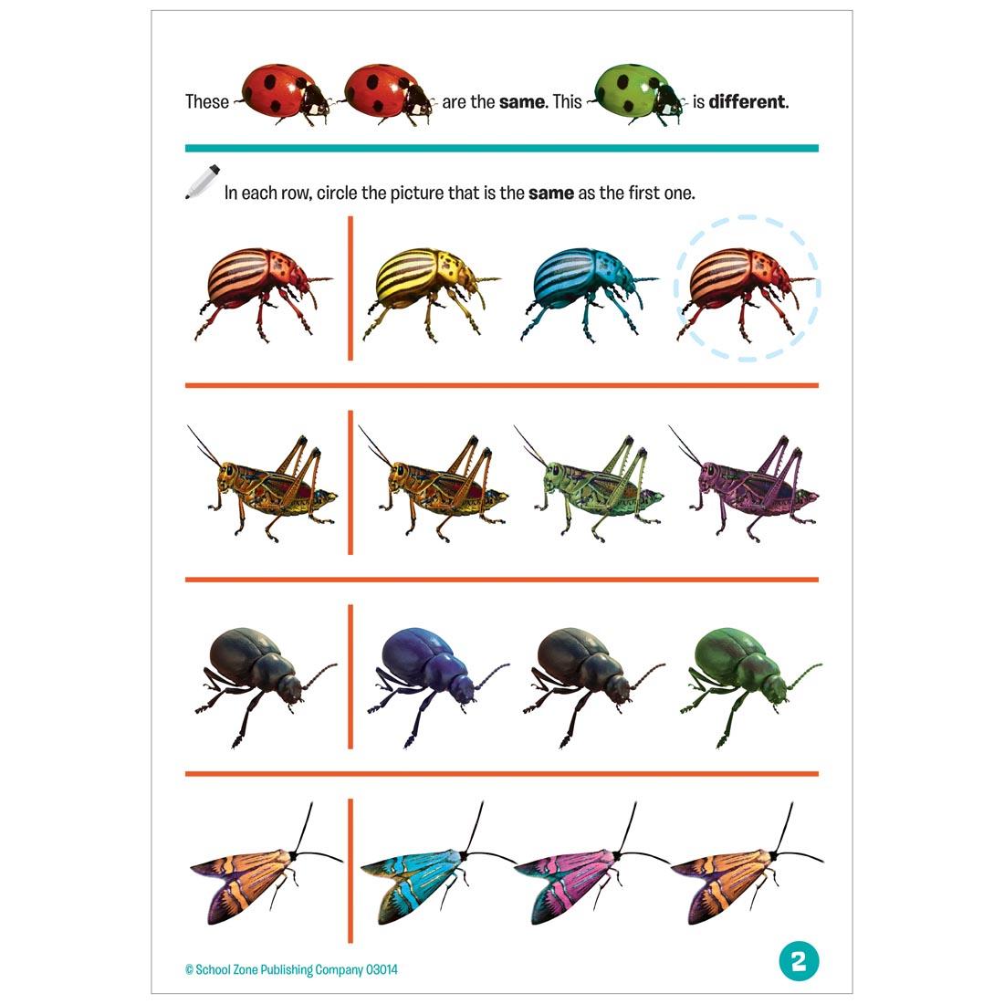 Preschool Fun! Write & Reuse Workbook By School Zone
