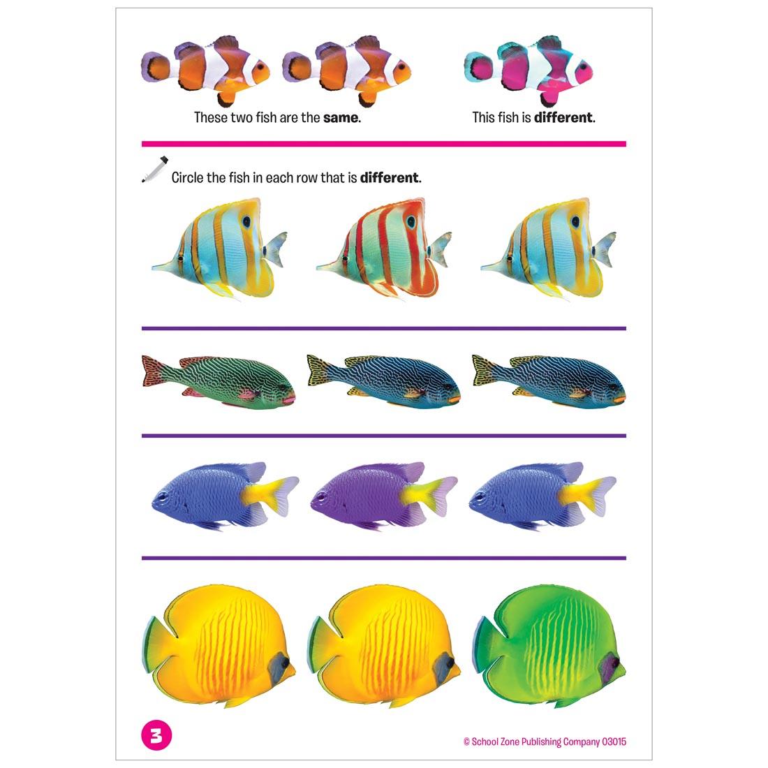 Kindergarten Fun! Write & Reuse Workbook By School Zone