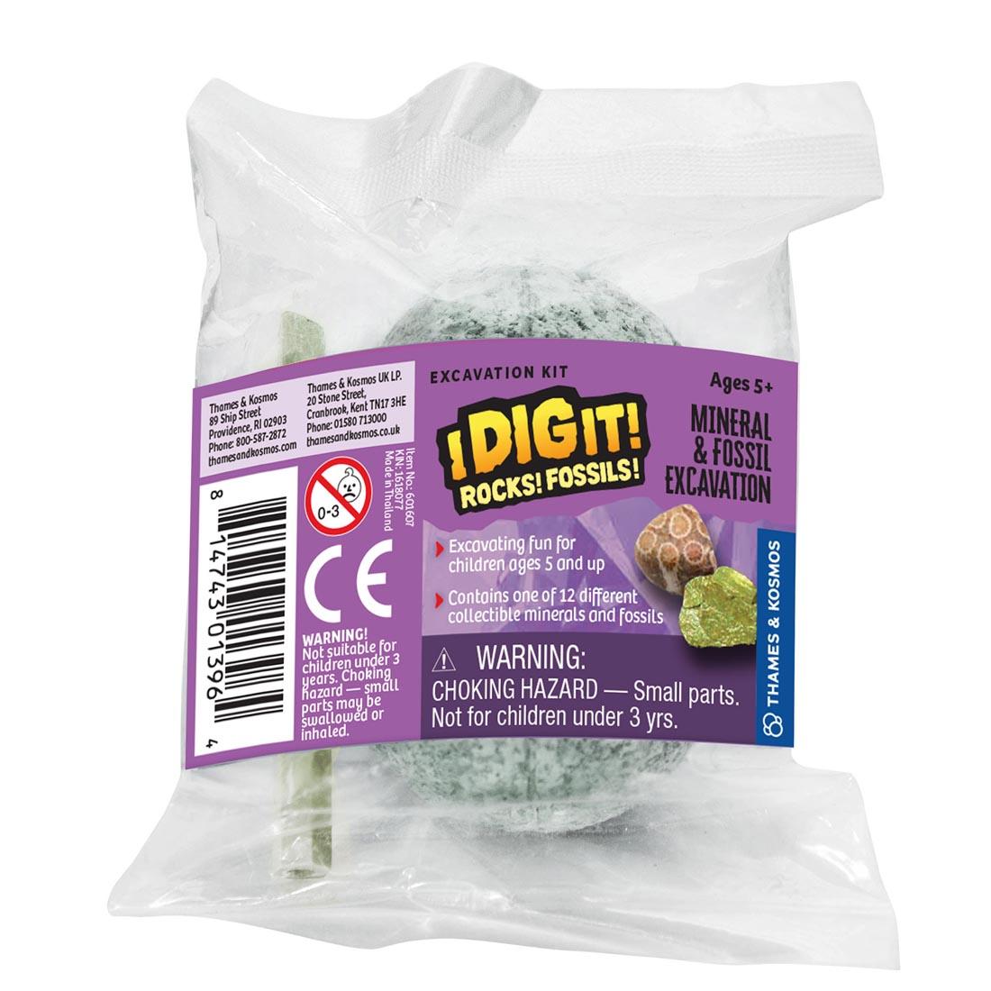 I Dig It! Mineral & Fossil Excavation Kit